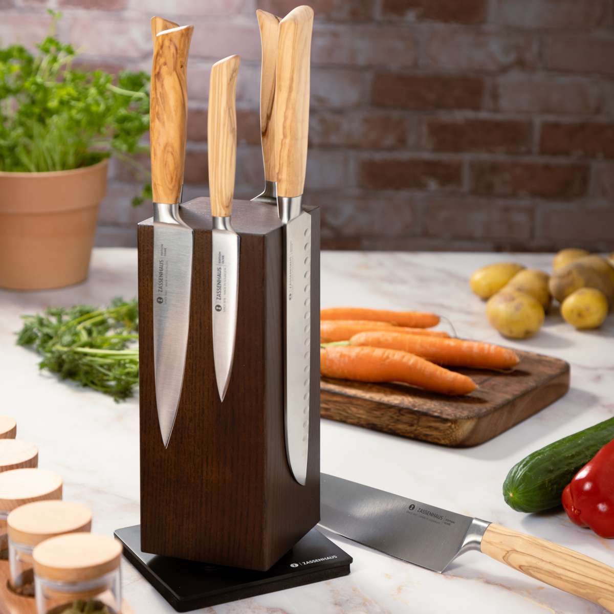 Zassenhaus - Magnet-Messerblock SPIN Esche Messer-Maxx